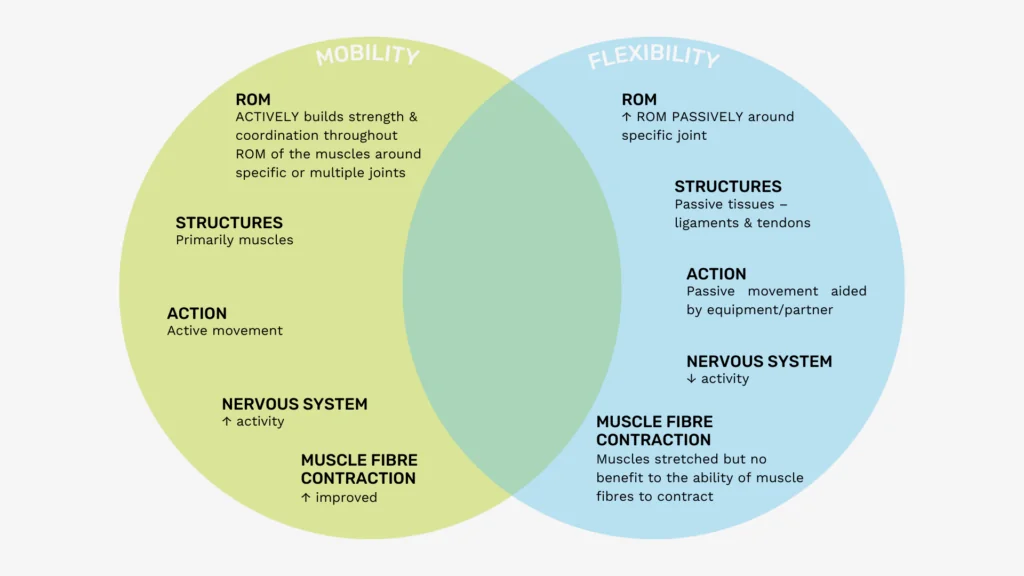 Mobility and Flexibility Program PDF : Health by Science